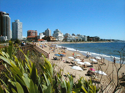 Playa Mansa Punta del Este Punta del Este Uruguay Información turística ...